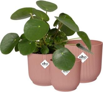 ELHO Vibes Fold Rond - Pot De Fleurs pour Intérieur - Plastique 100% Recyclé - Lot de 3 - Ø 14, 16, 18 cm - Rose/Rose Poudré