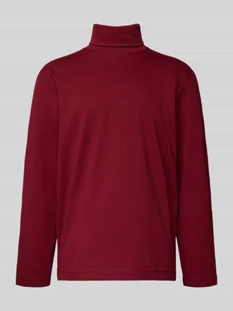 Tom Tailor Regular Fit Rollkragenpullover aus Baumwoll-Mix