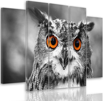 Feeby Leinwandbild - 5 Teile - Bilder, Wand Bild, Wandbilder, Kunstdruck XXL, 5-Teilig, Typ B, 150x100 cm, EULE, UHU, TIERE, WALD, NATUR, AUGEN, GRAU