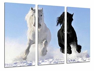 Cuadros Cámara Gemälde Kamera Poster Foto mehrfarbig 97 x 62 cm