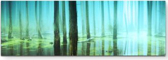 Paul Sinus Art Leinwandbilder | Bilder Leinwand 150x50cm Wald unter Wasser