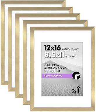 Americanflat Bilderrahmen mit poliertem Plexiglas, 30,5 x 40,6 cm, 5 Stück, Verwendung als 21,6 x 28,9 cm Rahmen mit Passepartout oder 30,5 x 40,6 cm Rahmen ohne P