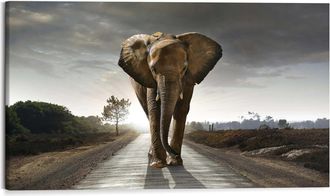 Reinders Wandbild, Elefantenk&ouml;nig, Wohnzimmer, Wandbild, Wanddeko, Room Decor, MDF, Braun, 70 x 118