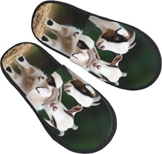 Generic Pantoufles En Peluche Motif De B&eacute;b&eacute; Ch&egrave;vre Mignon Chausson Hiver Maison Chaussons Pour Chambre Homme Int&eacute;rieur M