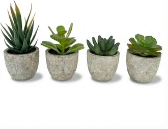 Nala 4er Set K&uuml;nstliche Pflanzen Sukkulenten, Beton Optik, 6cm x 7cm-14cm, Gr&uuml;n 2, Schreibtisch Deko, Badezimmer, Kunstblumen Wie Echt, Balkon, Kunstpflanz