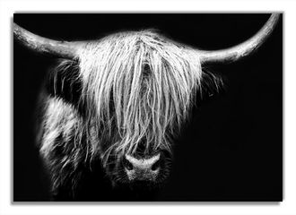 Wallario selbstklebendes Poster - Highlander in schwarz-wei&szlig;, Aufkleber in Premiumqualit&auml;t, Klebefolie Gr&ouml;&szlig;e: 70 x 100 cm (Riesenposter)