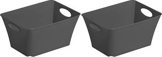 Rotho Living kleine Aufbewahrungsbox 1.5l, Kunststoff (PP) BPA-frei, anthrazit, 1.5l (18.0 x 13.4 x 9.0 cm) (Packung mit 2)