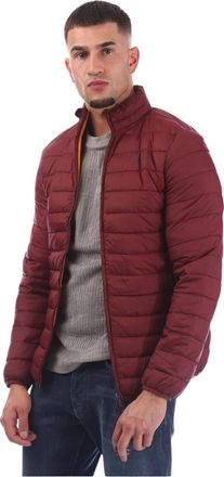 Aquascutum Steppjacke f&uuml;r Herren (Bordeaux)