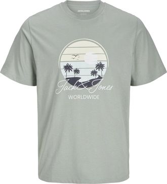 Jack & Jones Jjpalm Tee Ss Crew Neck Mni