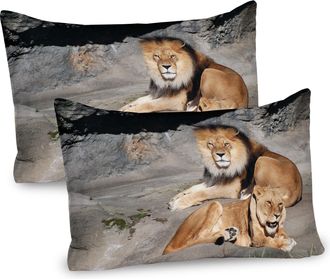 Abakuhaus Zoo Packung mit 2, Männliche und weibliche Löwen, die Sich im Sun Wildkatzen-Lebensraum-König des Dschungels aalen, Dekorativer Gedruckter, 80 x 40 cm