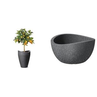 Scheurich Wave Globe High, Hochgefäß aus Kunststoff & Wave Globe Bowl, runde Pflanzschale aus Kunststoff, Schwarz-Granit, 40 cm Durchmesser, 21 cm hoch, 12 l Vo