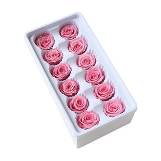 SOLUSTRE 12 Stück Teiliges Konservierte Rosen Ewige Rosen in Zartem Rosa Haltbarer Blumenstrauß Langlebige Dekoration für DIY Sträuße und Hochzeiten
