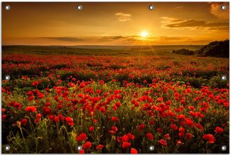 Wallario Outdoor-Poster f&uuml;r Garten oder Balkon Mohnblumenwiese bei Sonnenuntergang am Abend, Motivbanner Gr&ouml;&szlig;e: ca. 80 x 120 cm, Outdoor-Bild