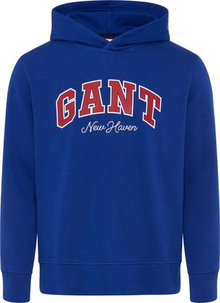 GANT Hoodie GANT GRAPHIC, Herren, Gr. 4XL, blau (crisp blau), Sweatware, Obermaterial: 80% Baumwolle, 20% Polyester, normal, B&uuml;ndchen, Sweatshirts Hoodie