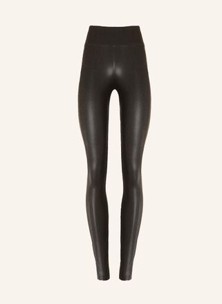 Wolford Leggings Rtw Python Leggings braun