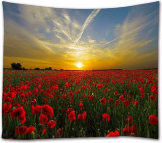 A.Monamour Wandteppich Sonnenuntergang Über Blühenden Roten Blumenfeld Natur Landschaft Tuch Mandala Boho Hippie Psychedelic Tapisserie Wandbehang Wanddekoration