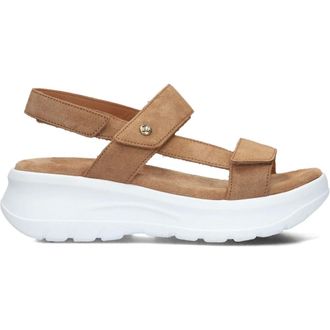 Panama Jack Damen, Schuhe, Braun, 37 EUGr&ouml;&szlig;e