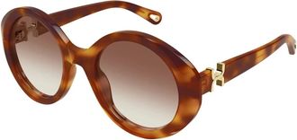 Chloé Femme, Accessoires, Brun, Taille: 53 MM Lunettes de soleil Panthos