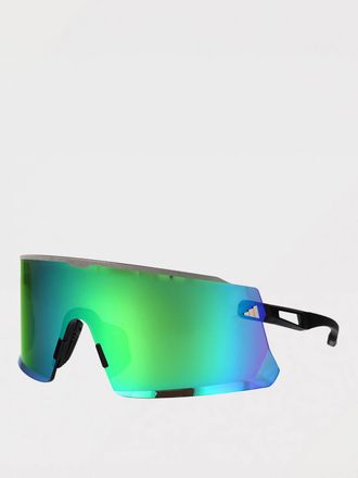 adidas Sonnenbrille ADIDAS ORIGINALS Herren Farbe Gr&uuml;n