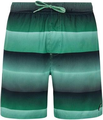 Protest Herren Badeshorts PRTRadar