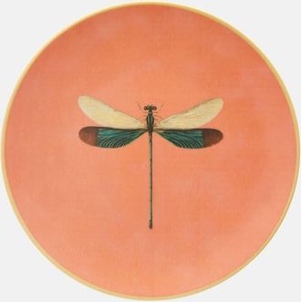 Les-Ottomans Frühstücksteller Insetti Dragonfly