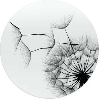 Reinders Glasbild, Pusteblume, Schlafzimmer, Poster, Wanddeko, Glasbilder, Glas, Schwarz-Wei&szlig;, &Oslash; 50