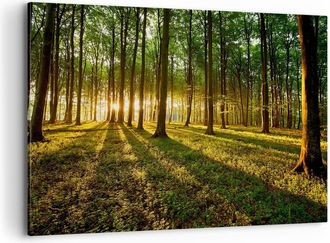 Arttor Wandbilder Dekoration Wohnzimmer Wald grün Sonnenstrahlen Natur Bilder auf Leinwand 120x80cm Leinwandbild Schlafzimmer Deko Wand Kunstdruck Art Groß X