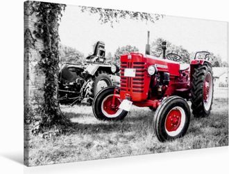 Calvendo Premium Textil-Leinwand 75 x 50 cm Quer-Format MC Cormick | Wandbild, HD-Bild auf Keilrahmen, Fertigbild auf hochwertigem Vlies, Leinwanddruck von And