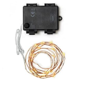 Legami Legami - Lichterkette f&uuml;r Innen- und Au&szlig;enbereich, 520 cm, Lichterkette, 50 LEDs, batteriebetrieben, h&auml;lt Regen und Staub, warmwei&szlig;