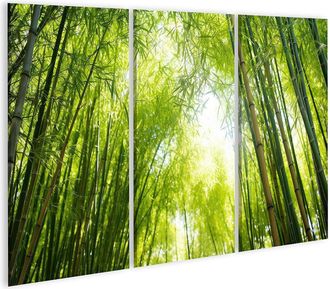 Islandburner Bild auf Leinwand Bambuswald blätter im Sonnenlicht Bilder Wandbilder Poster