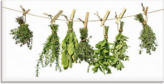 Artland ARTland Wanddeko Glasbilder Wandbild Glas Bild einteilig 60x30 cm Querformat Kräuter Gewürze Rosmarin Minze Spinat Landhausstil T3WN