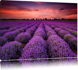 Pixxprint Wunderschöne Lavendel Provence, Größe: 100x70cm, Leinwandbild, fertig gespannt, Wandbild, Dekoration, Kunstdruck, kein Poster