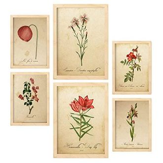 Nacnic Fleurs Rouges Affiches. Illustrations Nature et Botanique en Couleur avec des Th&egrave;mes Floraux dans un Style de Papier Vintage. Design dint&eacute;rieur et d&eacute;c