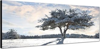 Paul Sinus Art Sinus Art Wandbild 150x50cm Baum Schatten Schnee Winter Wolkenschleier