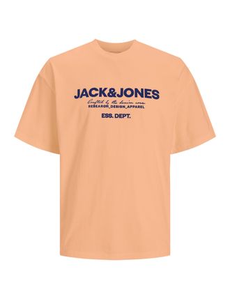 Jack & Jones Jjgale Tee Ss O-Neck Ln