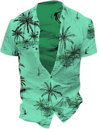 Generic Chemises hawa&iuml;ennes pour hommes, chemises &agrave; manches courtes pour hommes, chemises tropicales, vacances, plage, plage, vacances, plage, f&ecirc;te, fantaisie