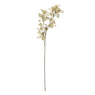 Bloomingville Waxflower Stiel, Wei&szlig;, K&uuml;nstliche Blumen, T15xH91 cm