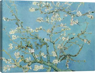 Posterlounge Mandelblüte Leinwandbild von Vincent van Gogh 70 x 50 cm Türkis Wandbilder Wanddeko