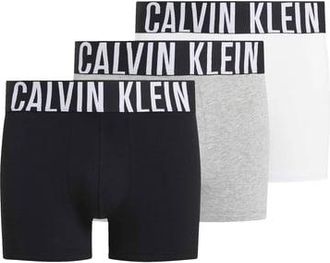 Calvin Klein Lot de trois boxer