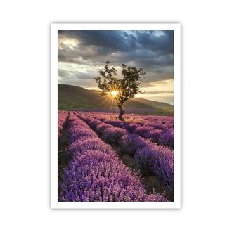 Arttor Poster ohne Rahmen Deko 70x100cm Lavendel Berge Feld Wandposter Art Prints Wanddeko Bild Wand Kunstdruck Wandbilder Dekoration Wohnzimmer Schlafzimmer