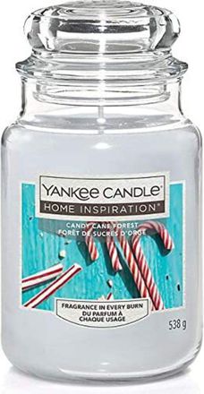 Yankee Candle Company Duftkerze im Glas, Zuckerstangen-Wald, groß, 538 g