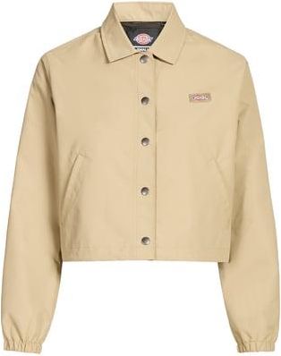 Dickies Veste courte &agrave; col classique
