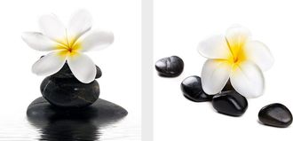 Eurographics Eurographics AKT-DG-DT6182SET Deco Glass, Glasbild, 2-er Set, Zen Flowers, 20 x 20 cm