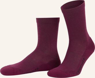 Icebreaker Trekking-Socken Lifestyle Mit Merinowolle lila
