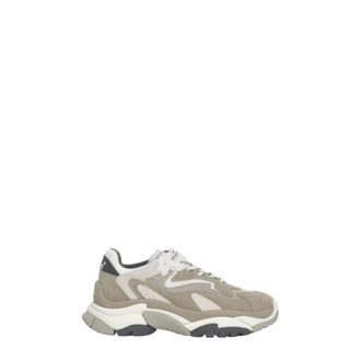 Ash Ash, Femme, Chaussures, Gris, Taille: 39 EU Baskets
