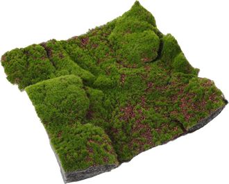 Amosfun K&uuml;Nstliche Moosmatte 30X30 cm Lebensechtes Kunstmoos F&uuml;R Garten Balkon Und DIY Dekoration Simuliertes Moos F&uuml;R Innen- Und Au&szlig;Enbereich Pflegeleicht Un