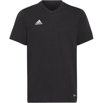 adidas Kinder Fanshirt Entrada 22