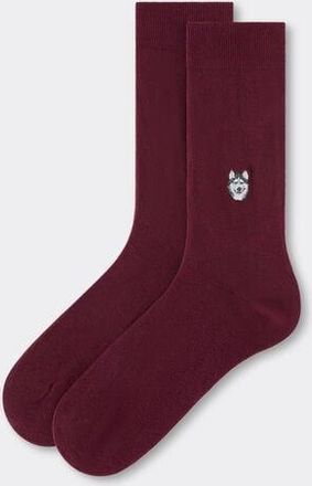 Calzedonia Herrensocken Mit Dog-stickerei Bordeaux