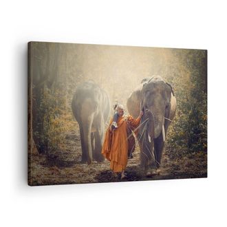 Arttor Bilder auf Leinwand Elefant Mönch Dschungel Leinwandbild 70x50cm Wandbilder Dekoration Wohnzimmer Schlafzimmer Küche Deko Klein Wanddeko Bild Wand Kun