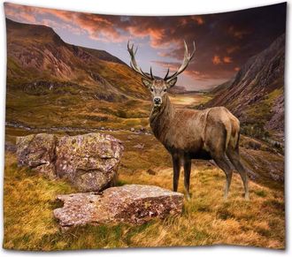A.Monamour Wandteppiche Dramatischer Berg Sonnenuntergang Bewölkter Himmel Natur Landschaft Rotwild In Der Wiese Tierwelt Thematisch Textil Stoff Wandbehang Tapi